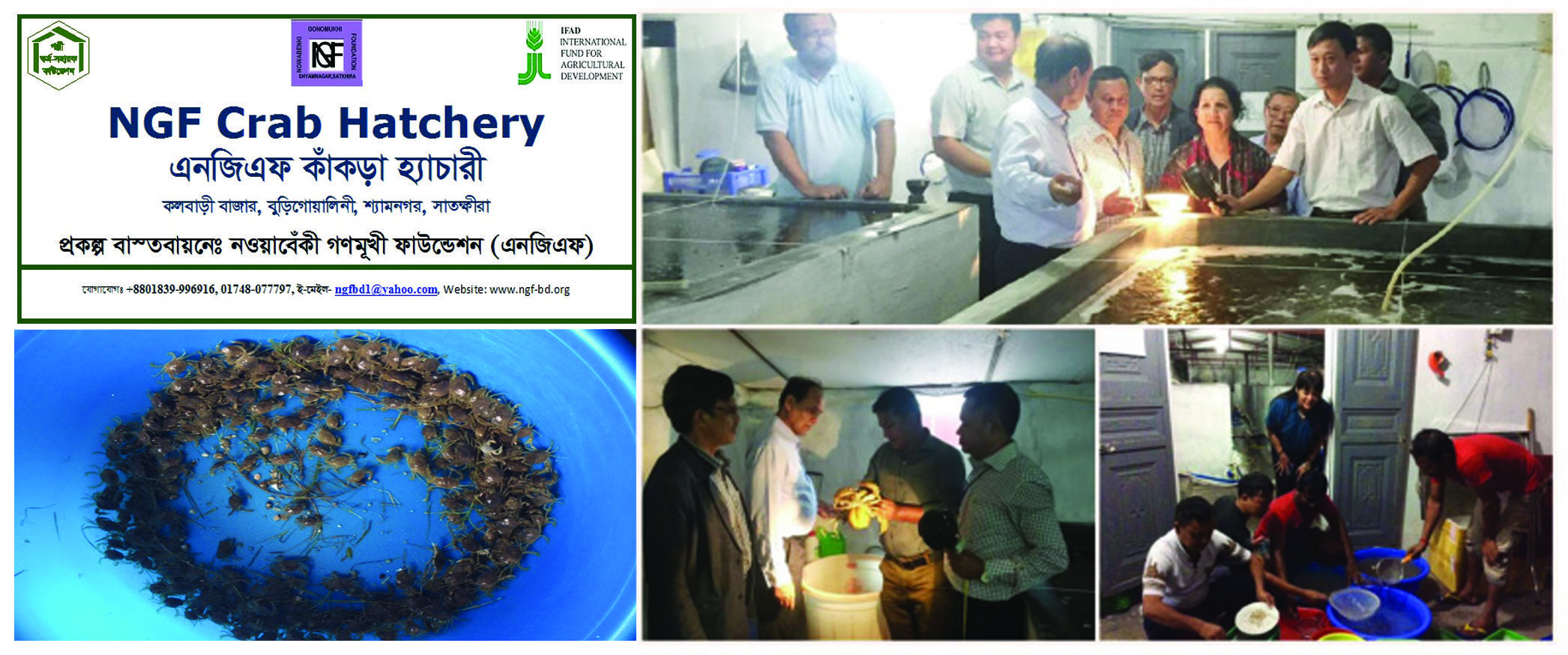 NGF - Nowabenki Gonomukhi Foundation